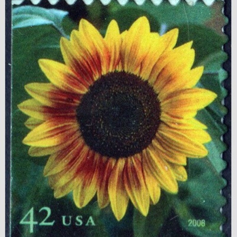 Sunflower Stamp - Etsy