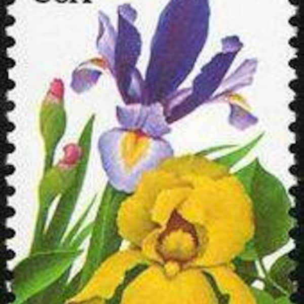 Iris Stamp - Etsy