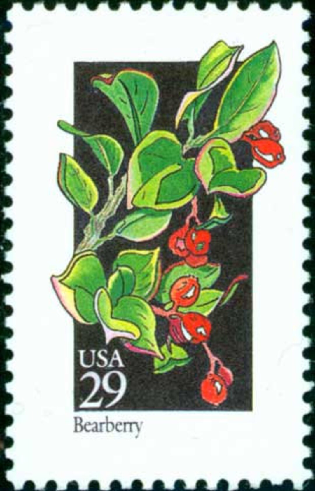 Five 5 Bearberry 29c Stamps // Wildflowers // Vintage Unused Postage ...