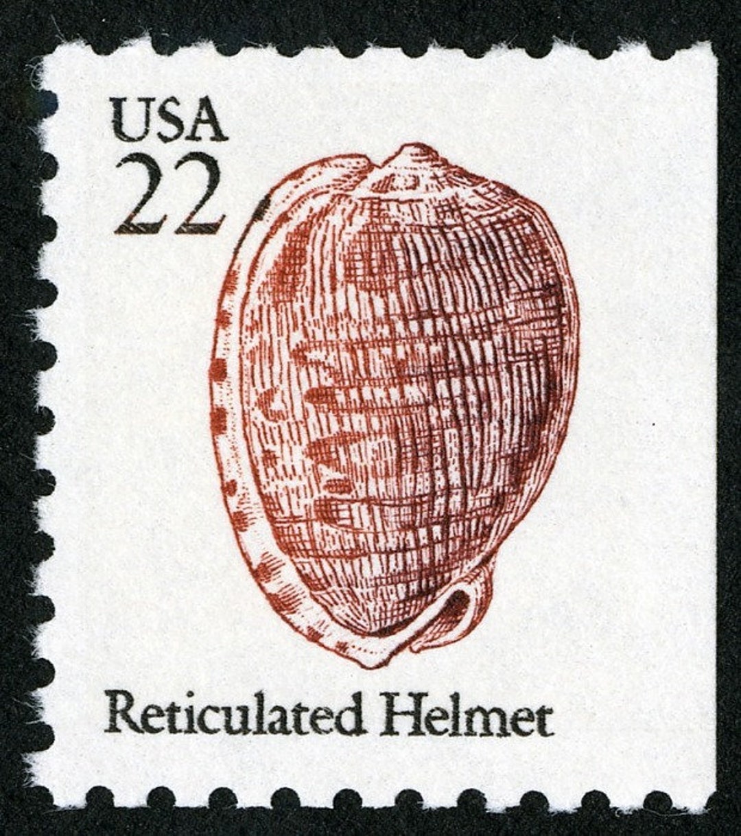 One 1 Reticulated Helmet Seashell 22c Stamp // Vintage Seashell Postage ...