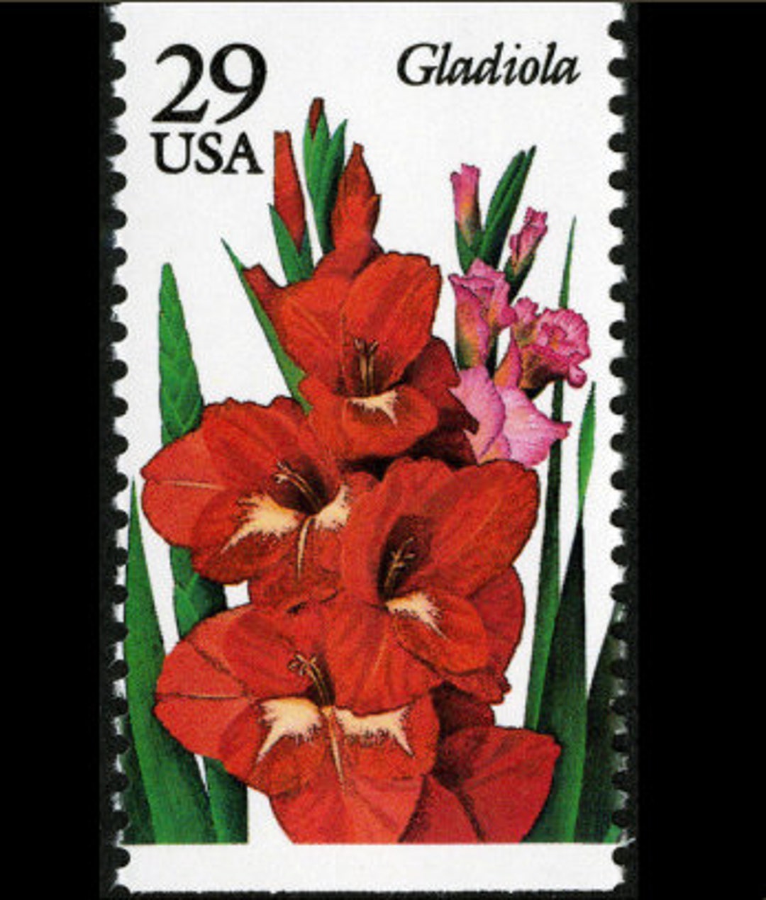 Five 5 Gladiola 29c Stamp // Summer Garden Flowers // Vintage Unused ...