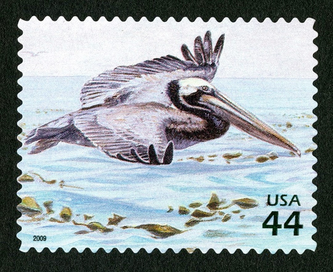 One 1 Brown Pelican 44c // Kelp Forest 44c (11th Nature of America ...