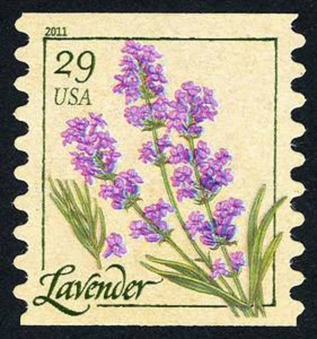 One 1 Vintage Unused Postage Stamps Herbs: Lavender 29c // 29 Cent ...