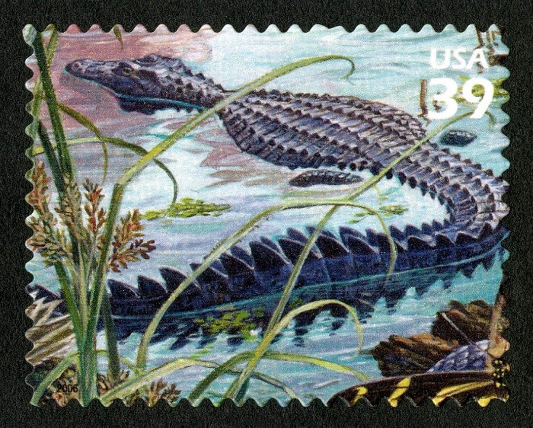 One 1 Postage Stamps - American Alligator 39c // Southern Florida ...