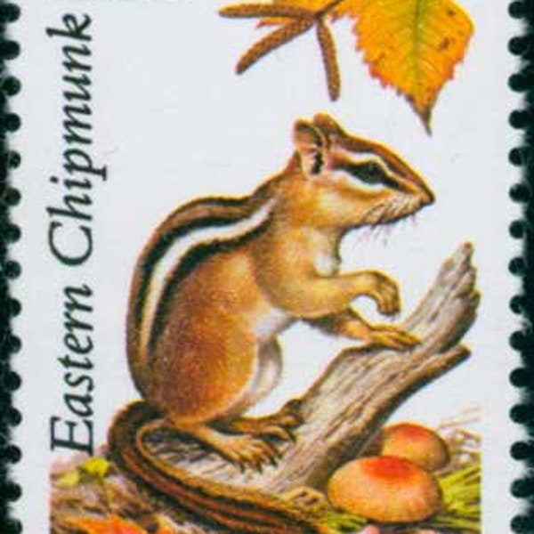 Vintage Chipmunk - Etsy