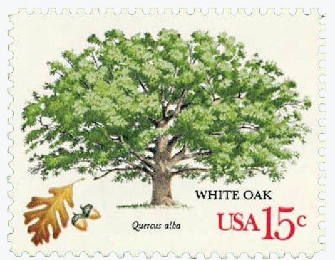 One 1 White Oak 15c Stamp // Trees 15c // Vintage Unused Postage Stamps ...