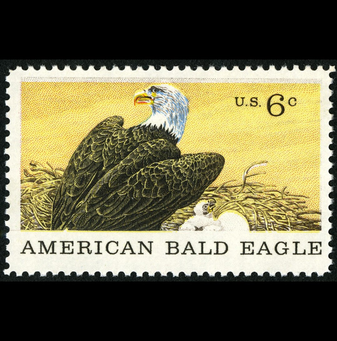 Five 5 American Bald Eagle 6c // Vintage Unused Postage Stamps 6 Cent ...