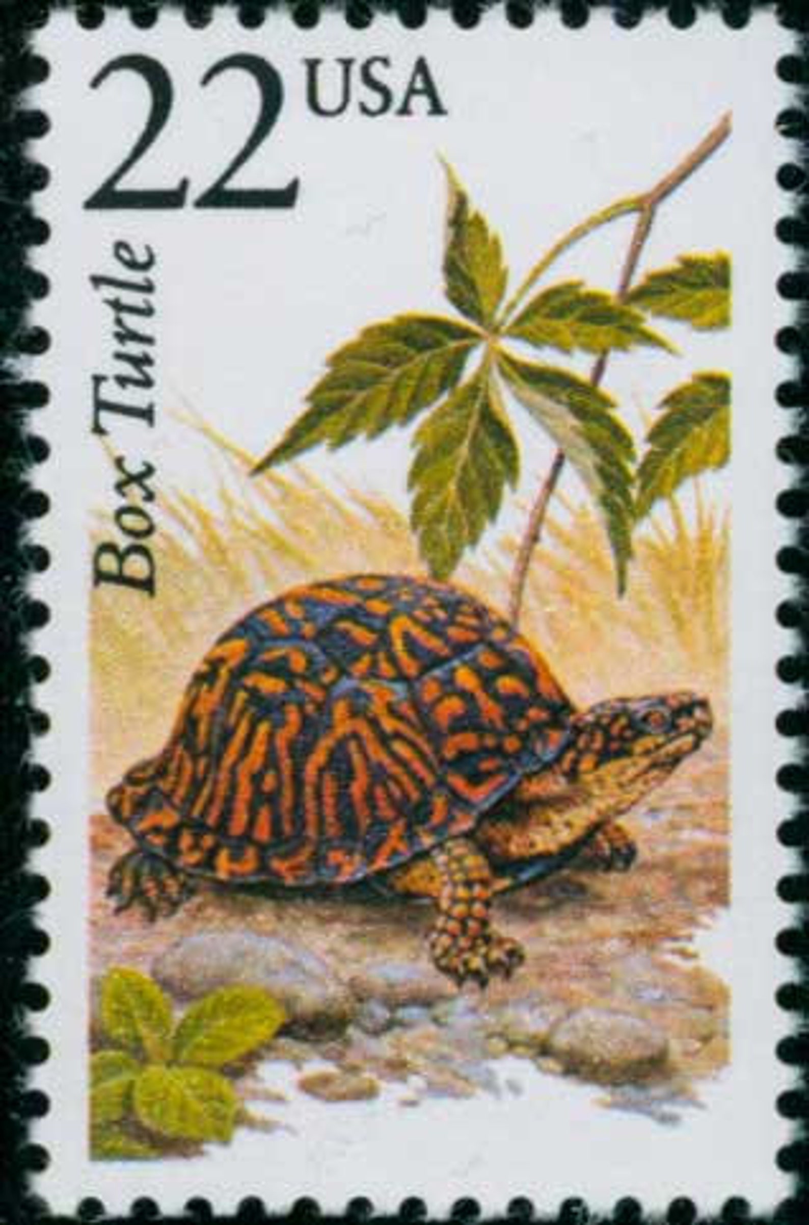Five 5 Box Turtle 22c Stamps // North American Wildlife // Unused ...