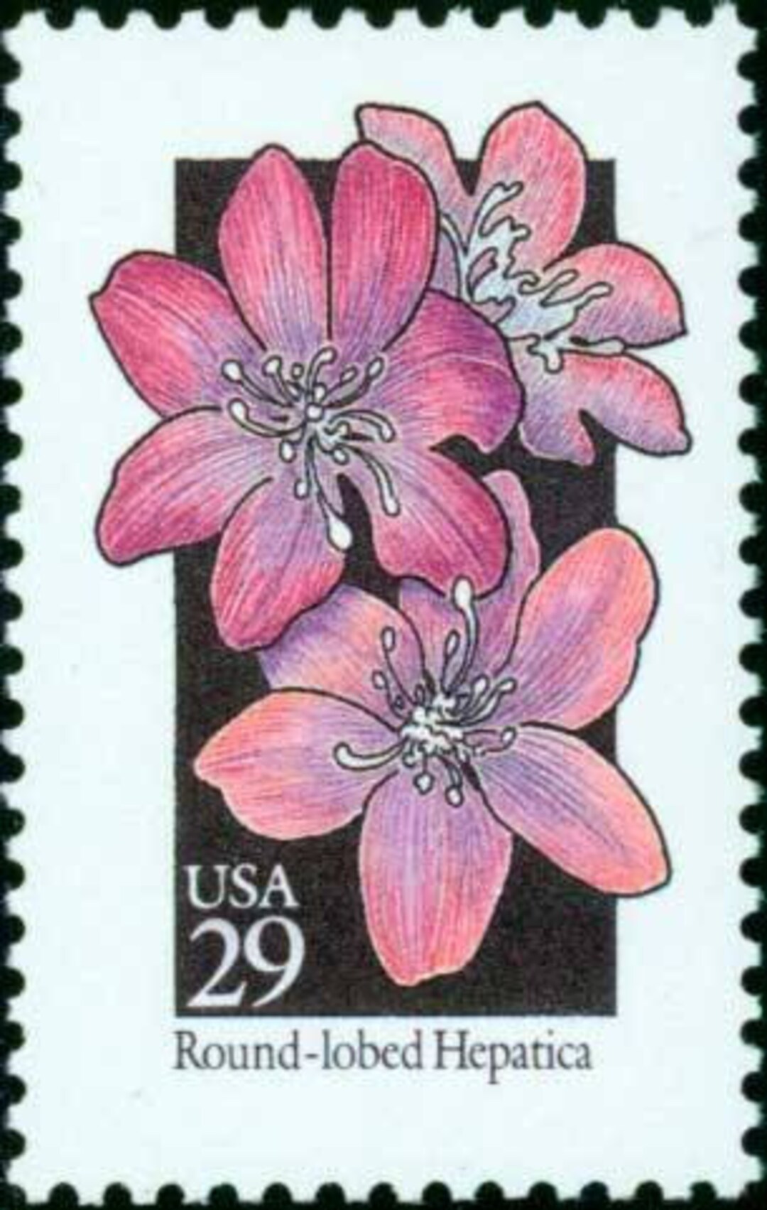 Five 5 Round-lobed Hepatica 29c Stamps // Wildflowers // Vintage Unused ...