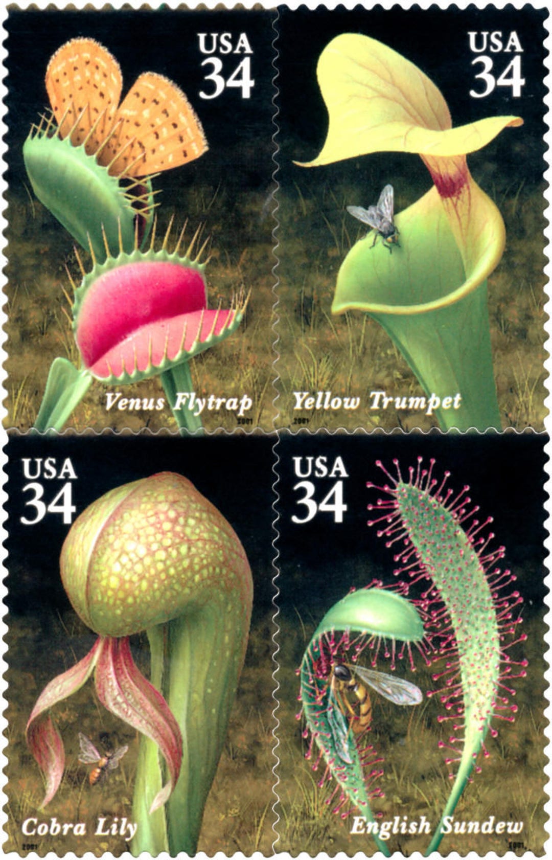 Four 4 Carnivorous Plants 34c Stamps // Vintage Unused Postage Stamps ...