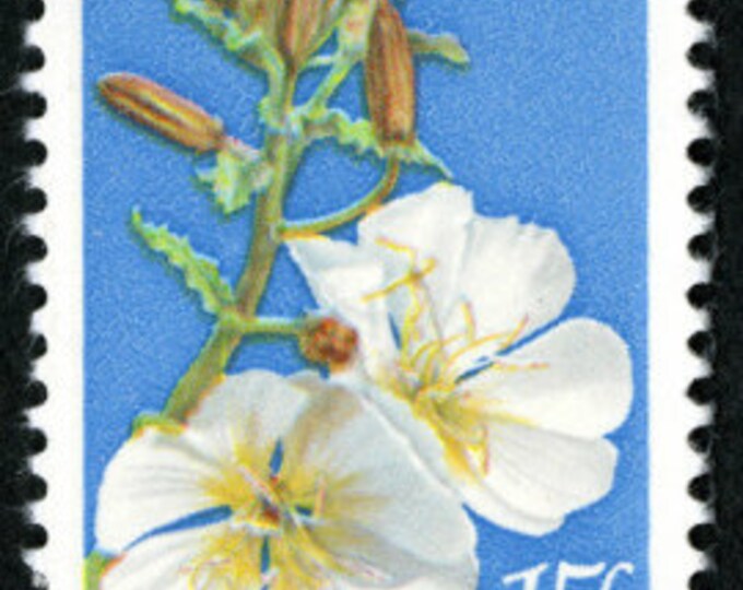 Five 5 Antioch Dunes Evening Primrose 15c Stamps // Endangered Flora 15 ...