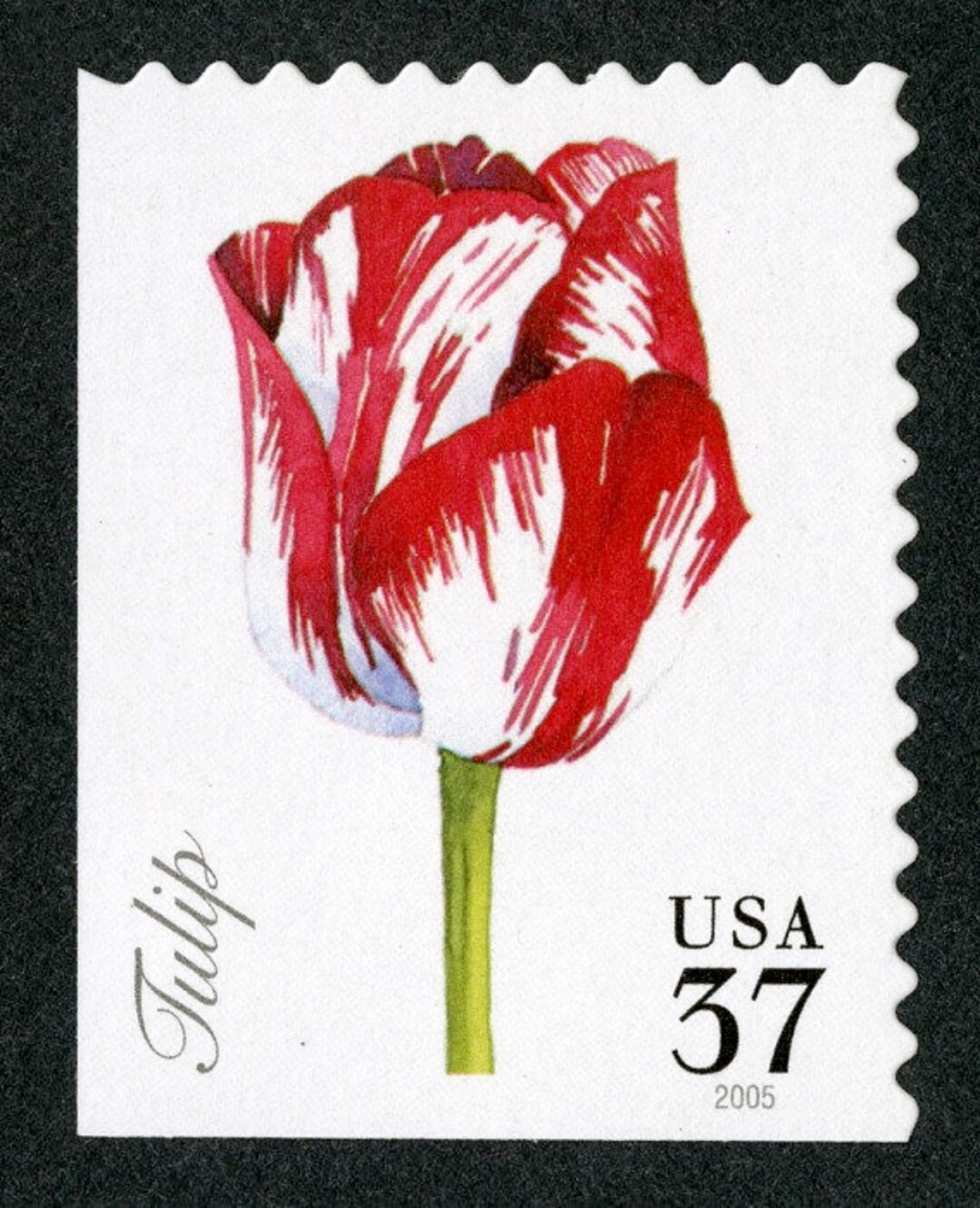 One 1 Tulip 37c // Spring Flowers // Unused US Postage Stamps // 37 ...