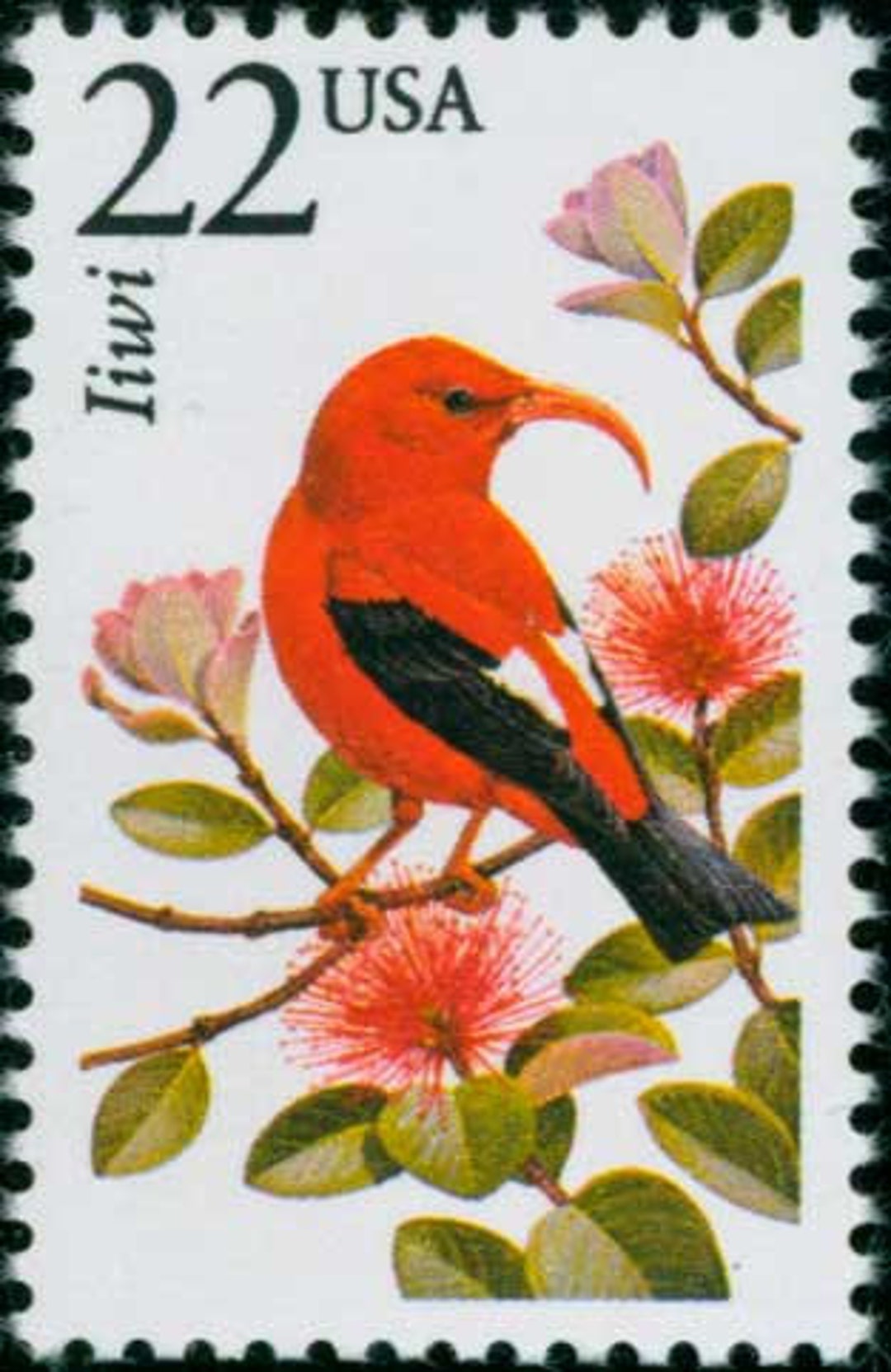 Five 5 Iiwi 22c Stamps // North American Wildlife // Vintage Unused ...