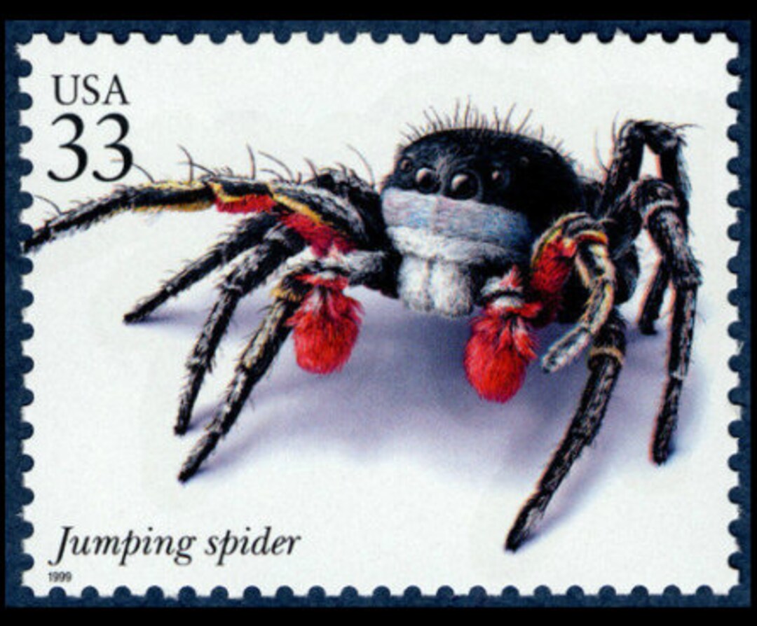 One 1 Unused Postage Stamp - Jumping Spider // 33 Cent Stamp - Etsy