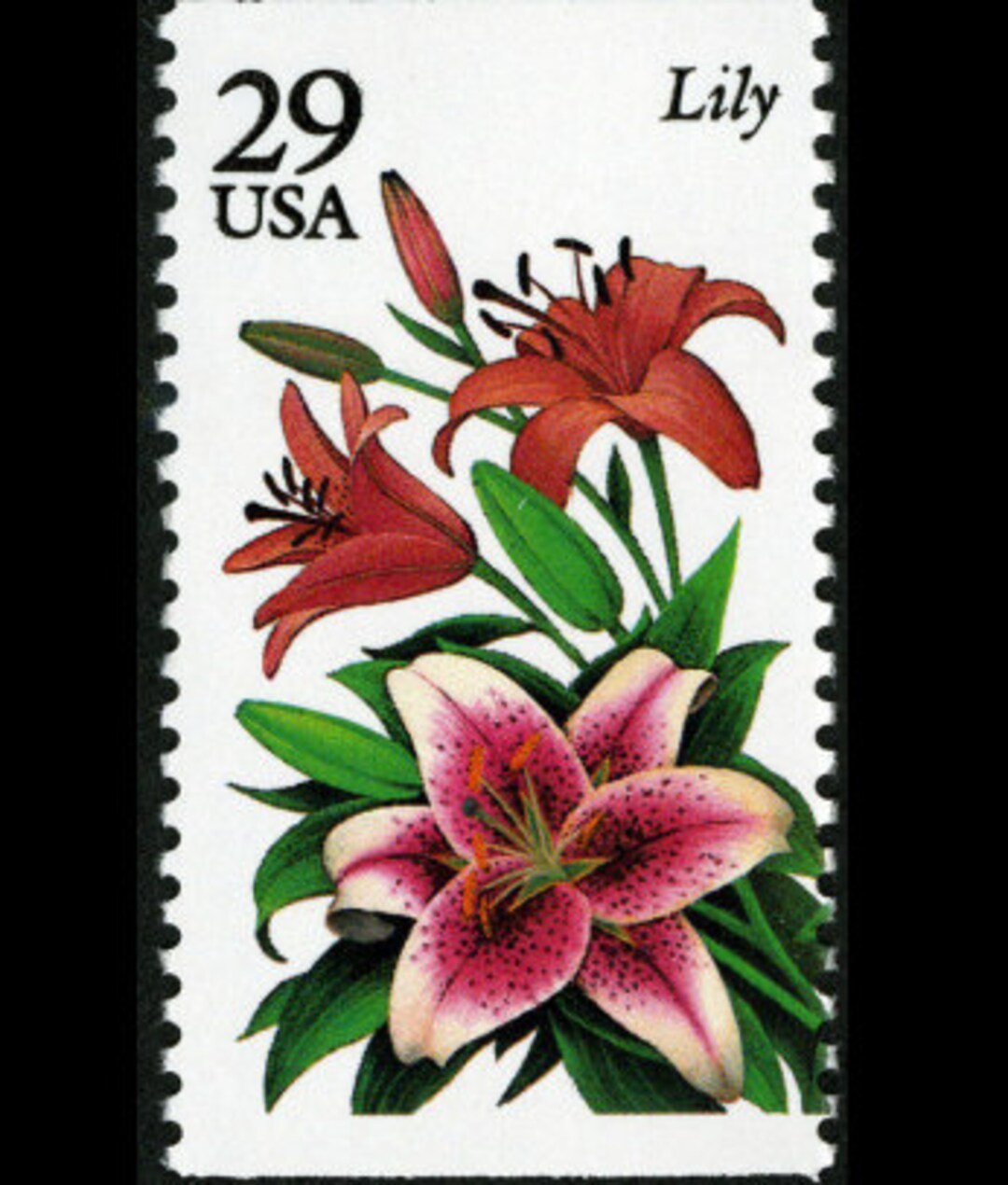 Five 5 Lily Flower 29c Stamps // Summer Garden Flowers // Vintage ...