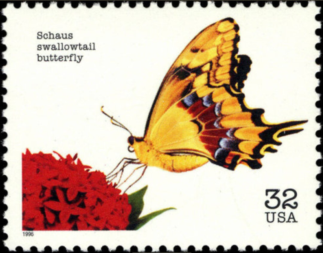 Five 5 Schaus Swallowtail Butterfly 32c // Endangered Species ...
