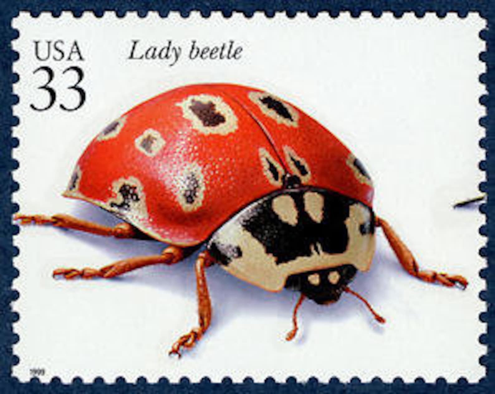 Five 5 Unused Postage Stamps - Insects and Spiders : Lady Beetle 33c ...