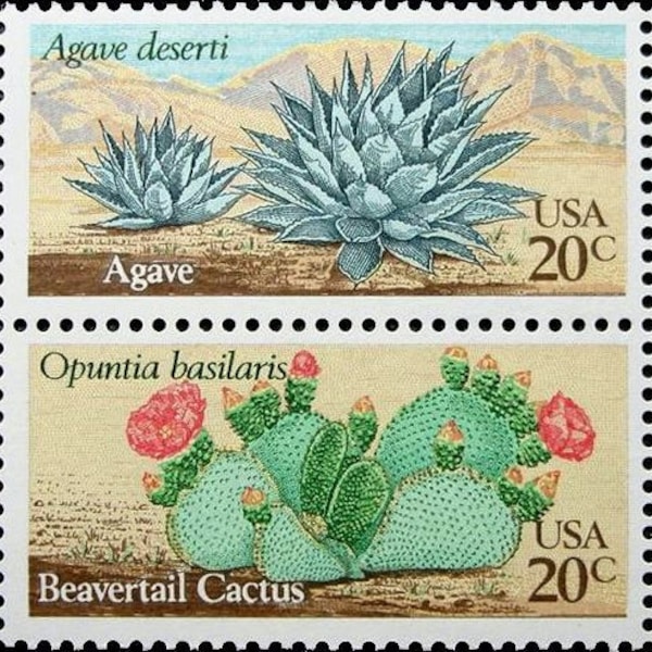 Cactus Stamps - Etsy