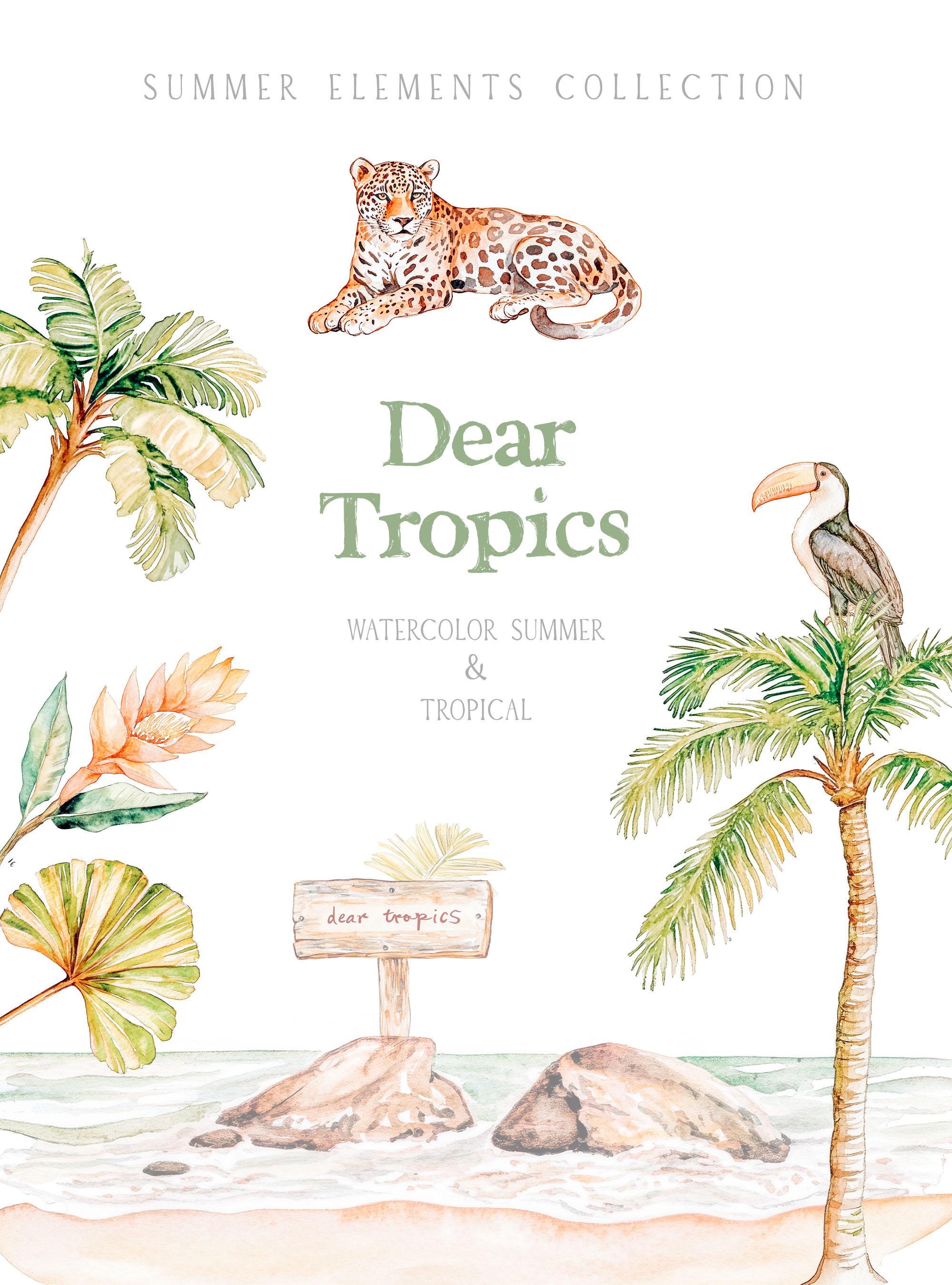 Tropical Nature Watercolor Clipart Set - Animal Clipart - Tropical ...