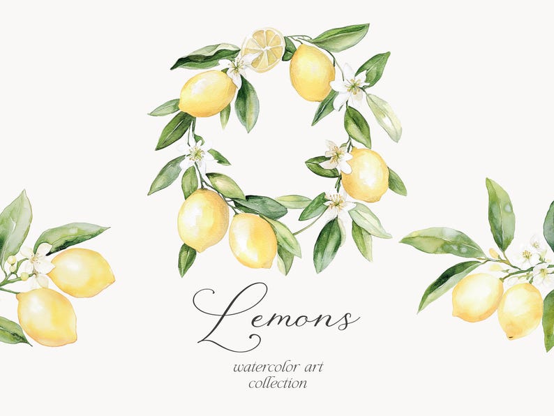 Watercolor Lemons Clipart - Lemons - Mediterranean Lemons Clipart ...