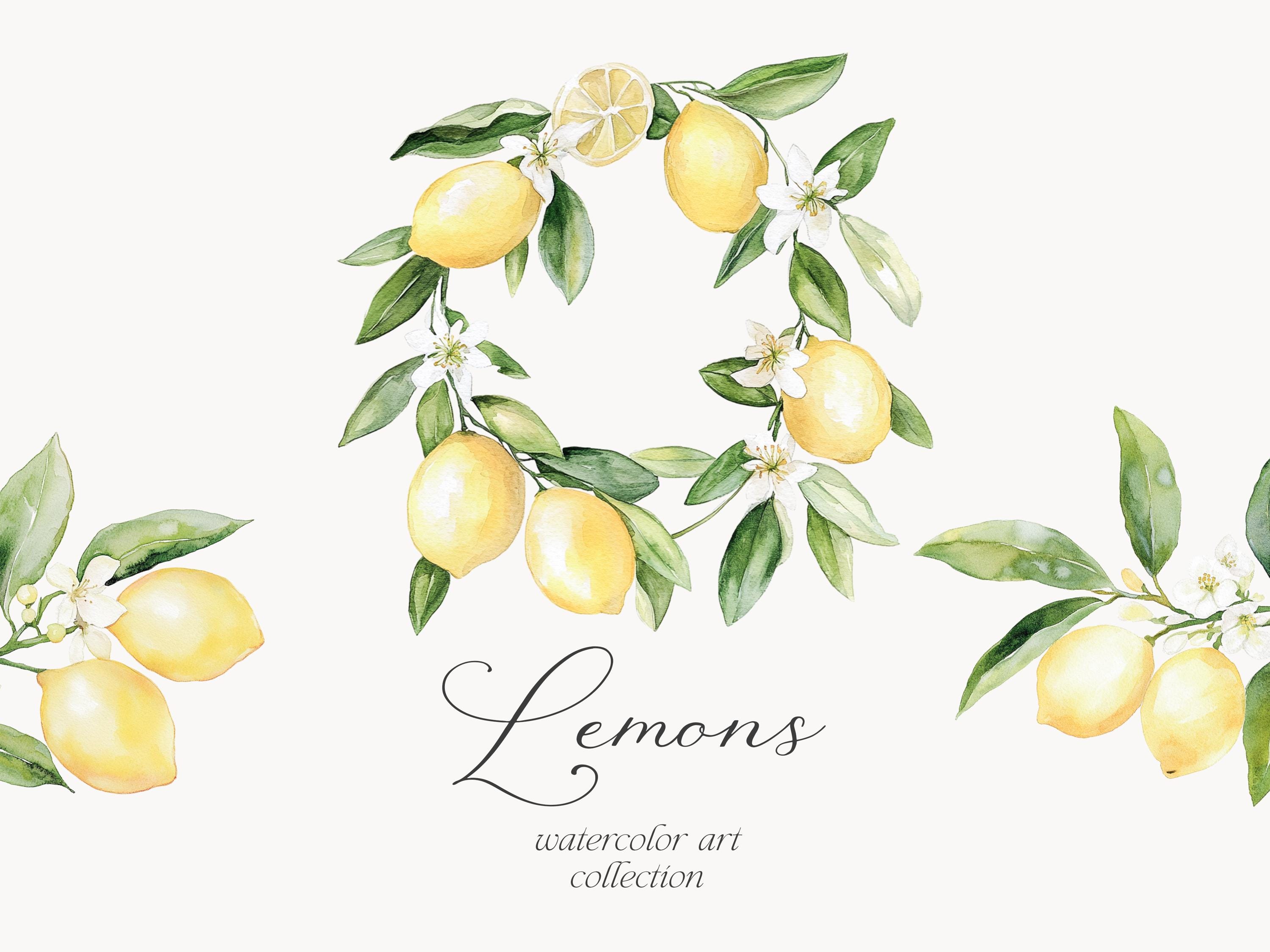 Watercolor Lemons Clipart - Lemons - Mediterranean Lemons Clipart ...