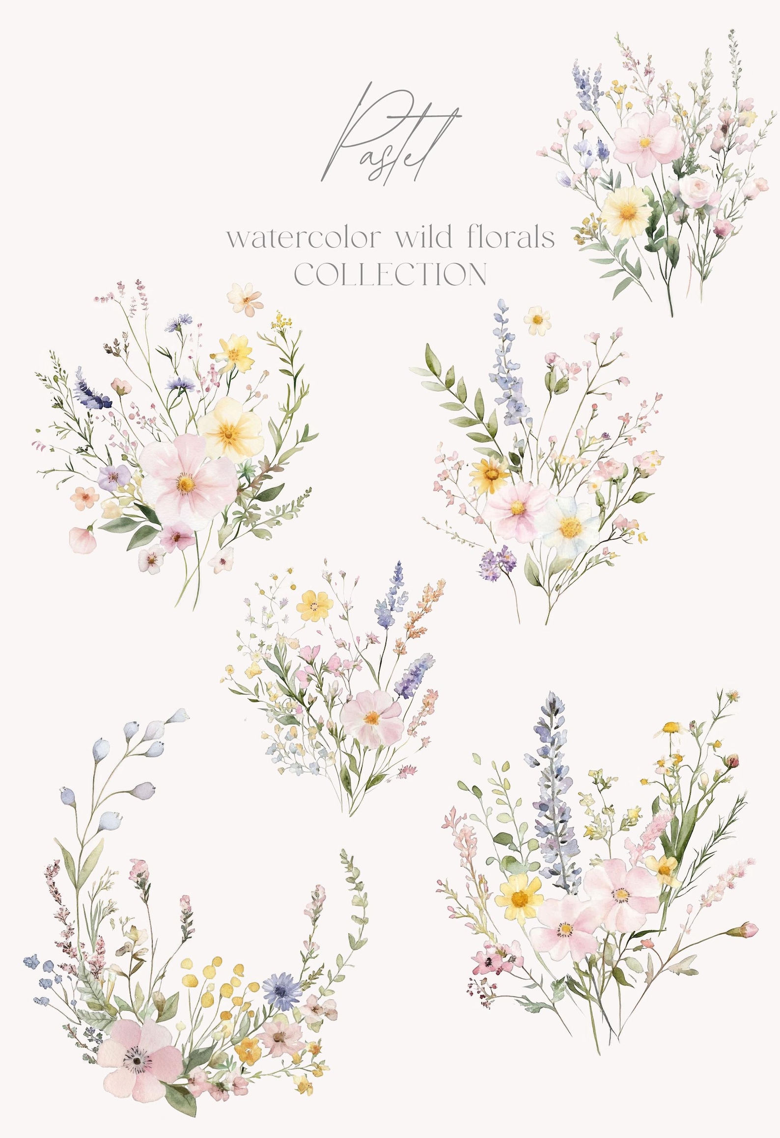 Colorful Wild Flower Collection - Pastel Wild Flowers - Watercolor ...