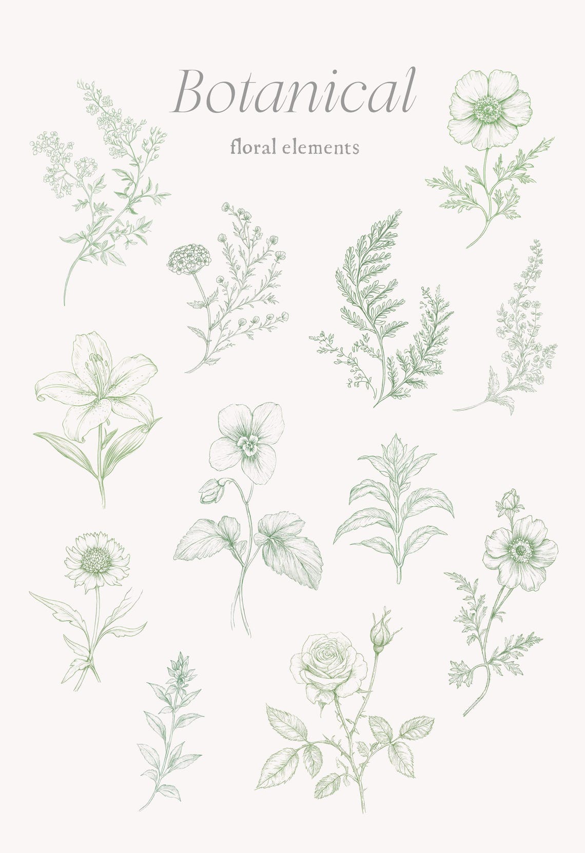 Green Line Art Botanical Collection - Greenery - Greenery Clipart ...