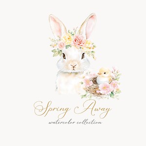 Watercolor Spring Clipart - Spring Collection - Spring and Easter ...