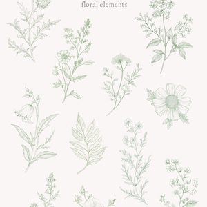 Green Line Art Botanical Collection - Greenery - Greenery Clipart ...