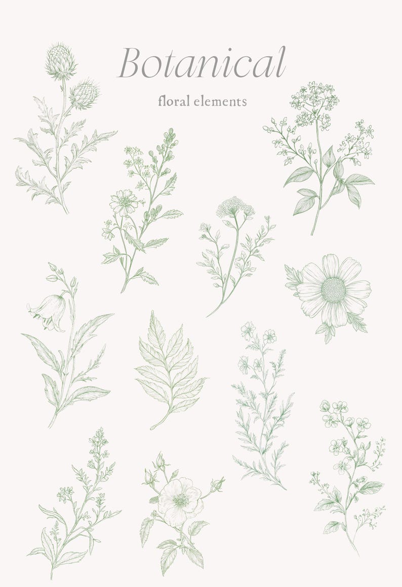 Green Line Art Botanical Collection - Greenery - Greenery Clipart ...