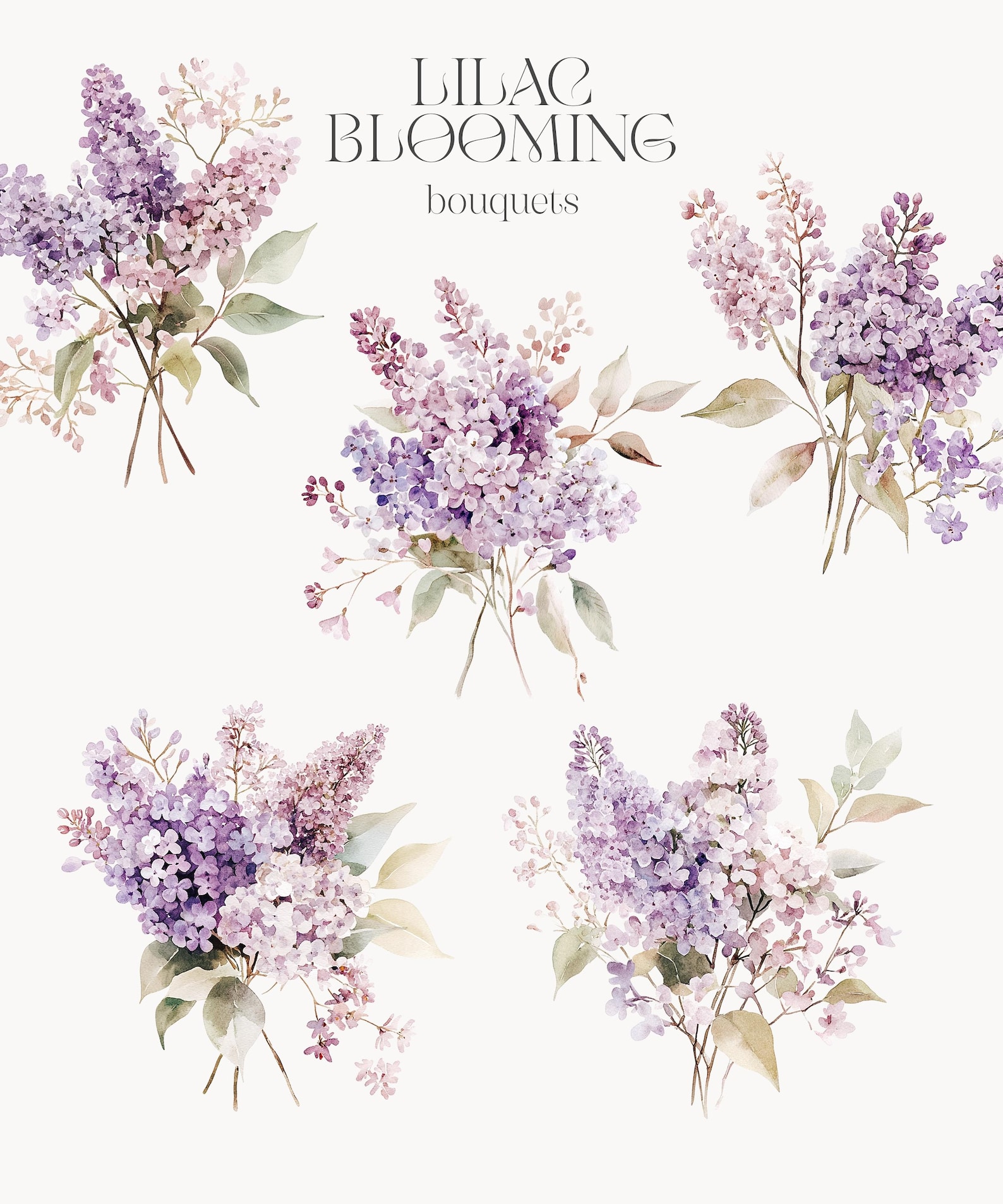 Watercolor Lilac Clipart - Rustic Spring Lilac Collection - Lilac Set ...