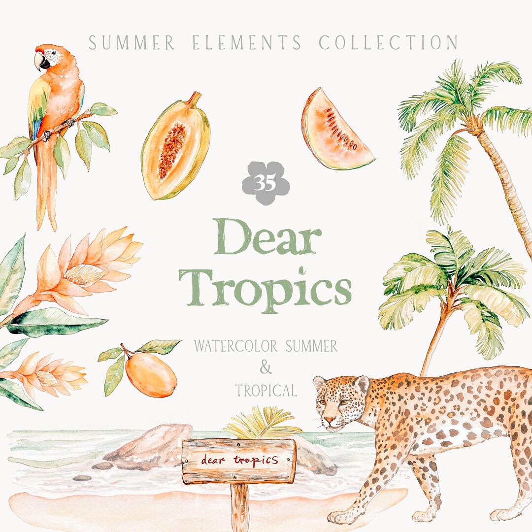 Tropical Nature Watercolor Clipart Set - Animal Clipart - Tropical ...