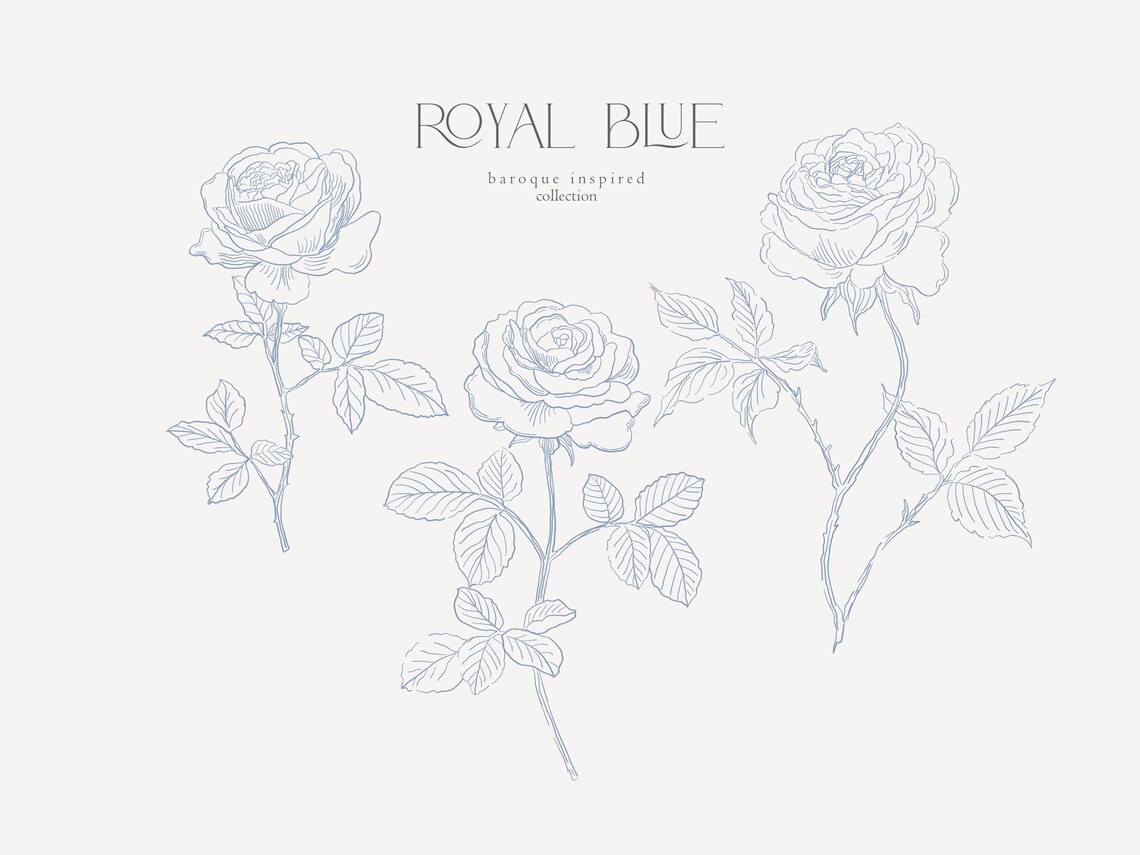 Baroque Inspired Line Art Royal Blue Clipart Set With Seamless Patterns ...