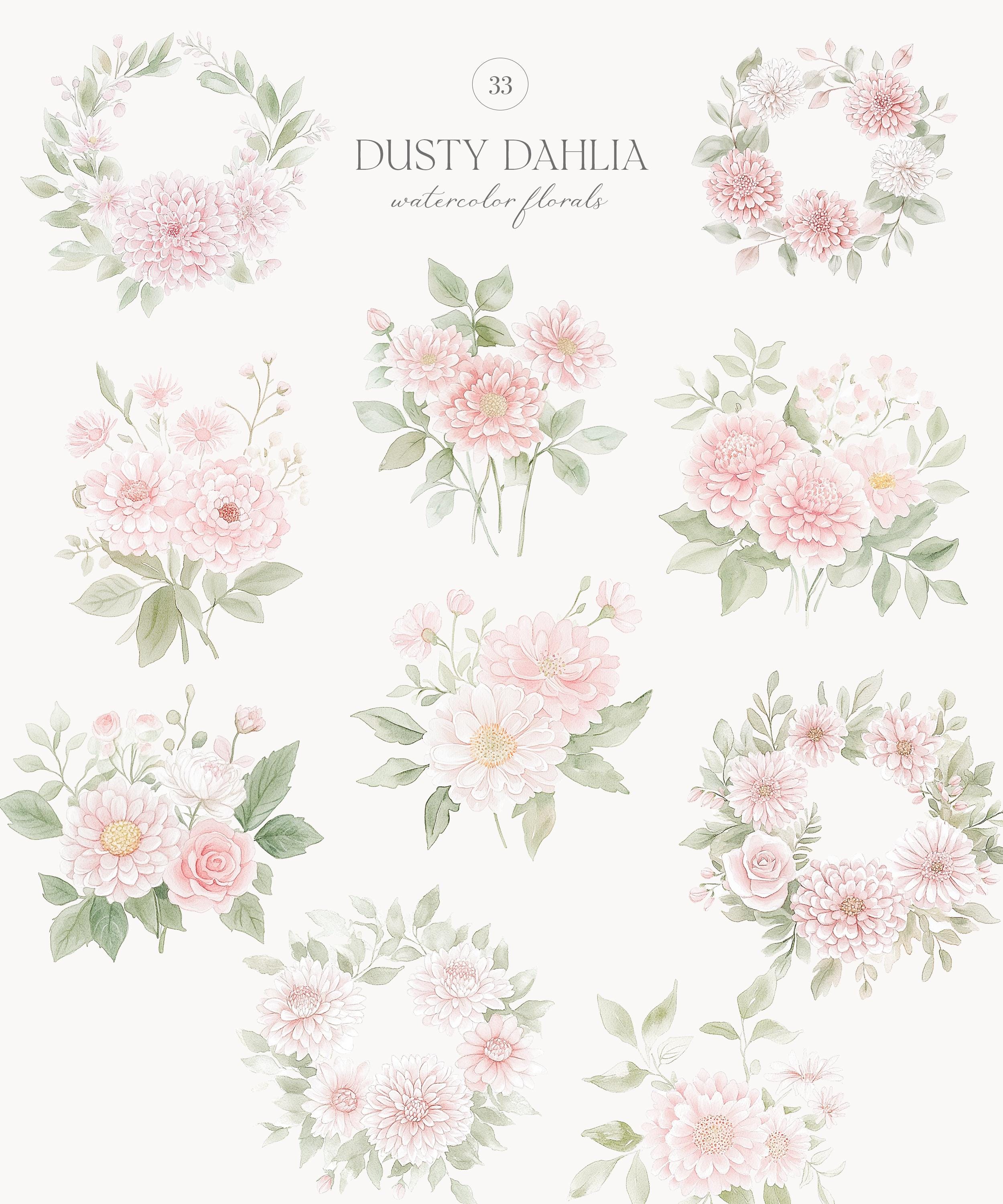Watercolor Dahlia Clipart in Dusty Pink - Botanical Illustrations ...