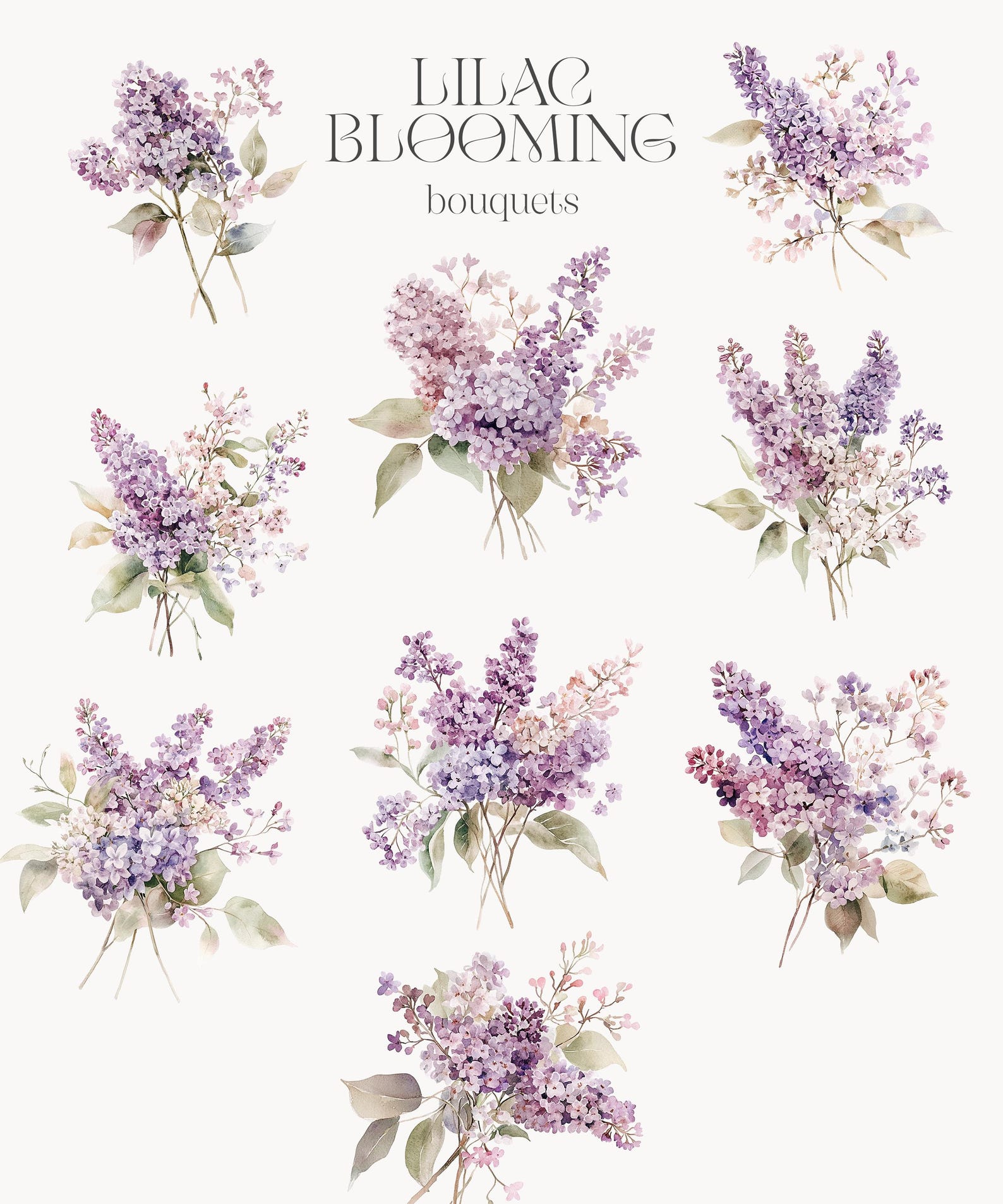Watercolor Lilac Clipart - Rustic Spring Lilac Collection - Lilac Set ...