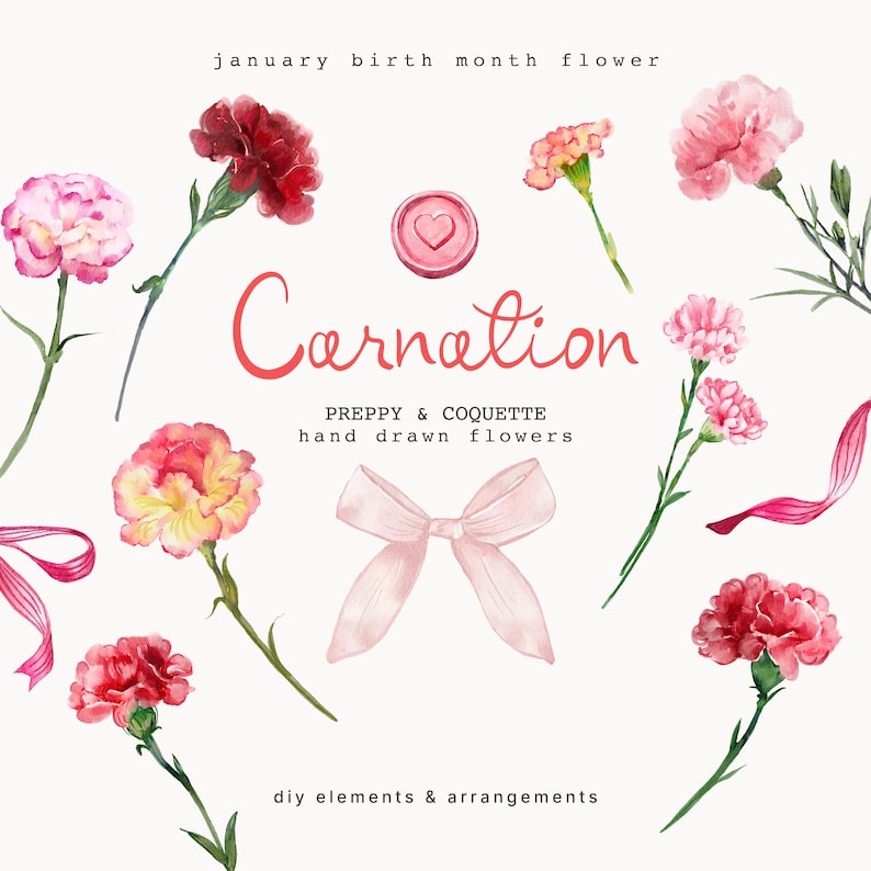 Watercolor Birth Month Flower Clipart - January Birth Flower ...