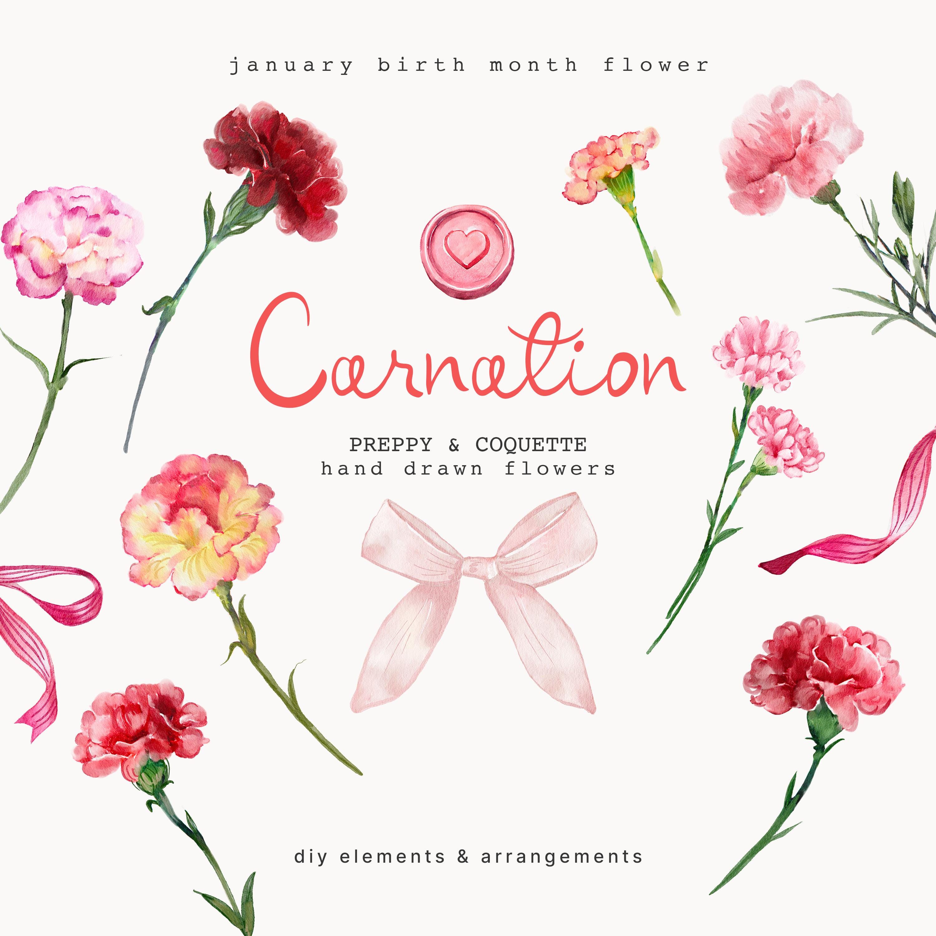 Watercolor Birth Month Flower Clipart - January Birth Flower ...