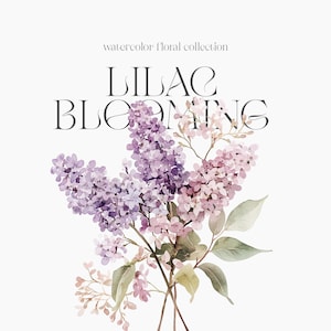 Watercolor Lilac Clipart - Rustic Spring Lilac Collection - Lilac Set ...