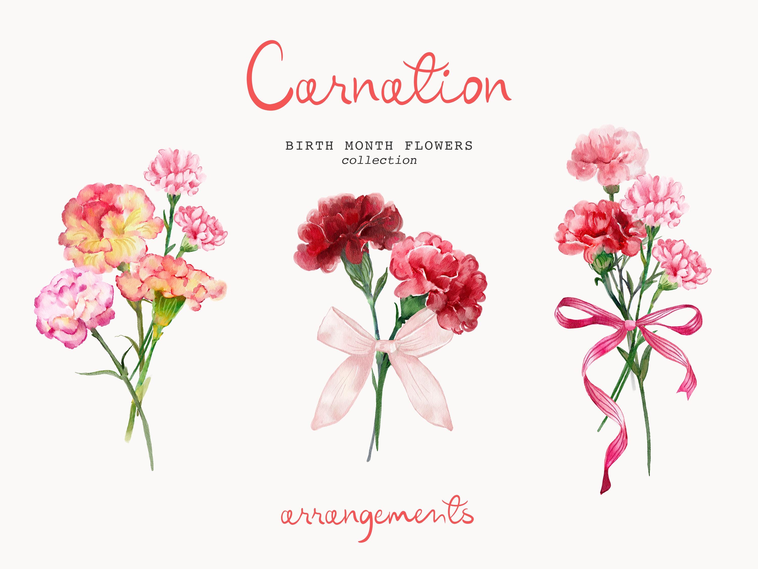 Watercolor Birth Month Flower Clipart - January Birth Flower ...