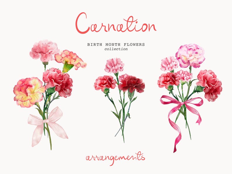Watercolor Birth Month Flower Clipart - January Birth Flower ...
