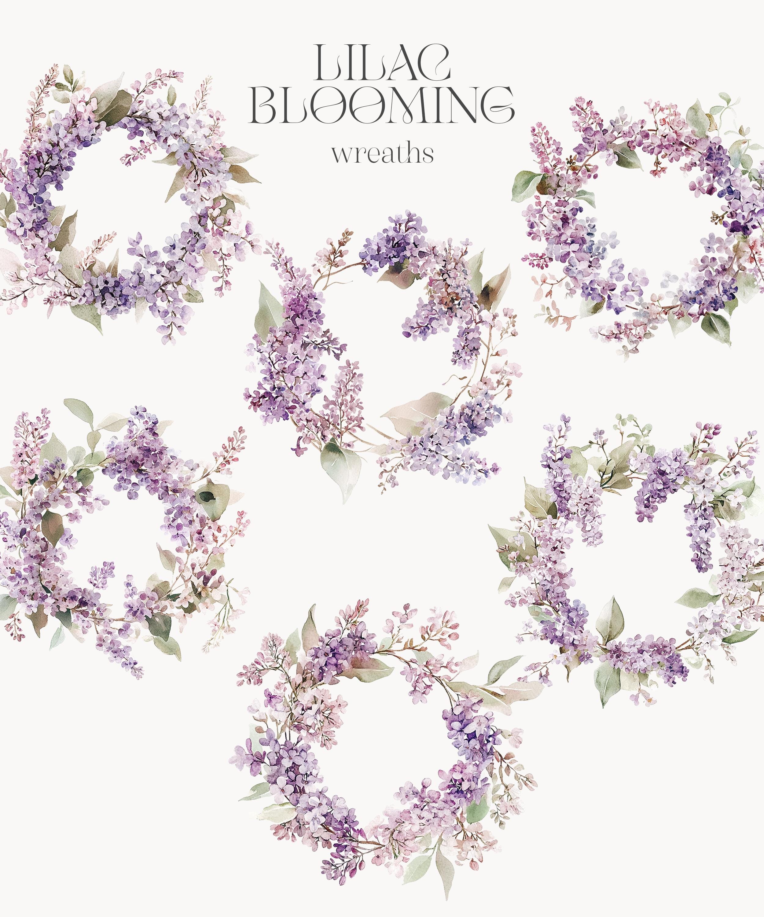 Watercolor Lilac Clipart - Rustic Spring Lilac Collection - Lilac Set ...