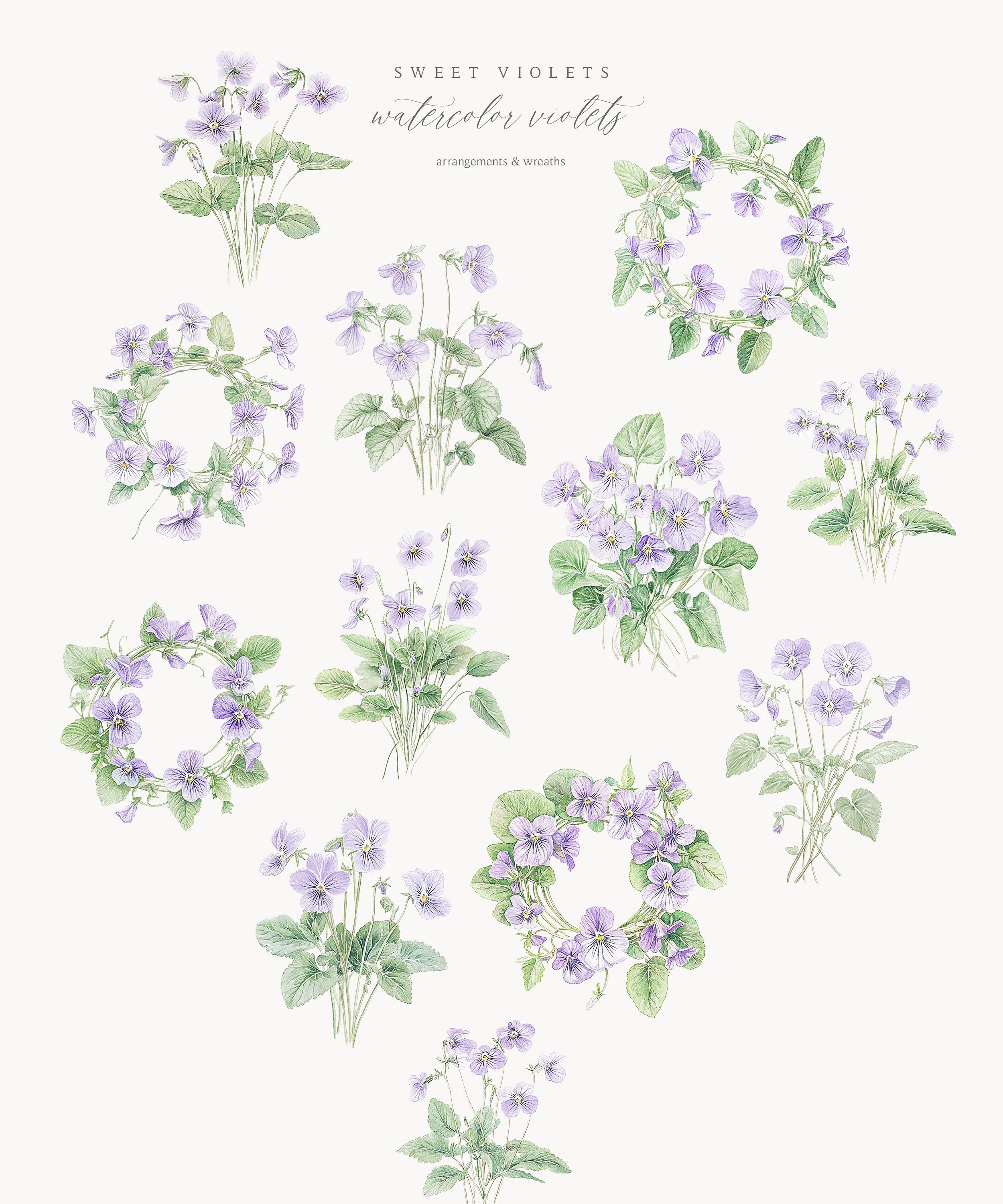 Watercolor Spring Violets Clipart - Violets Clipart - Violets ...