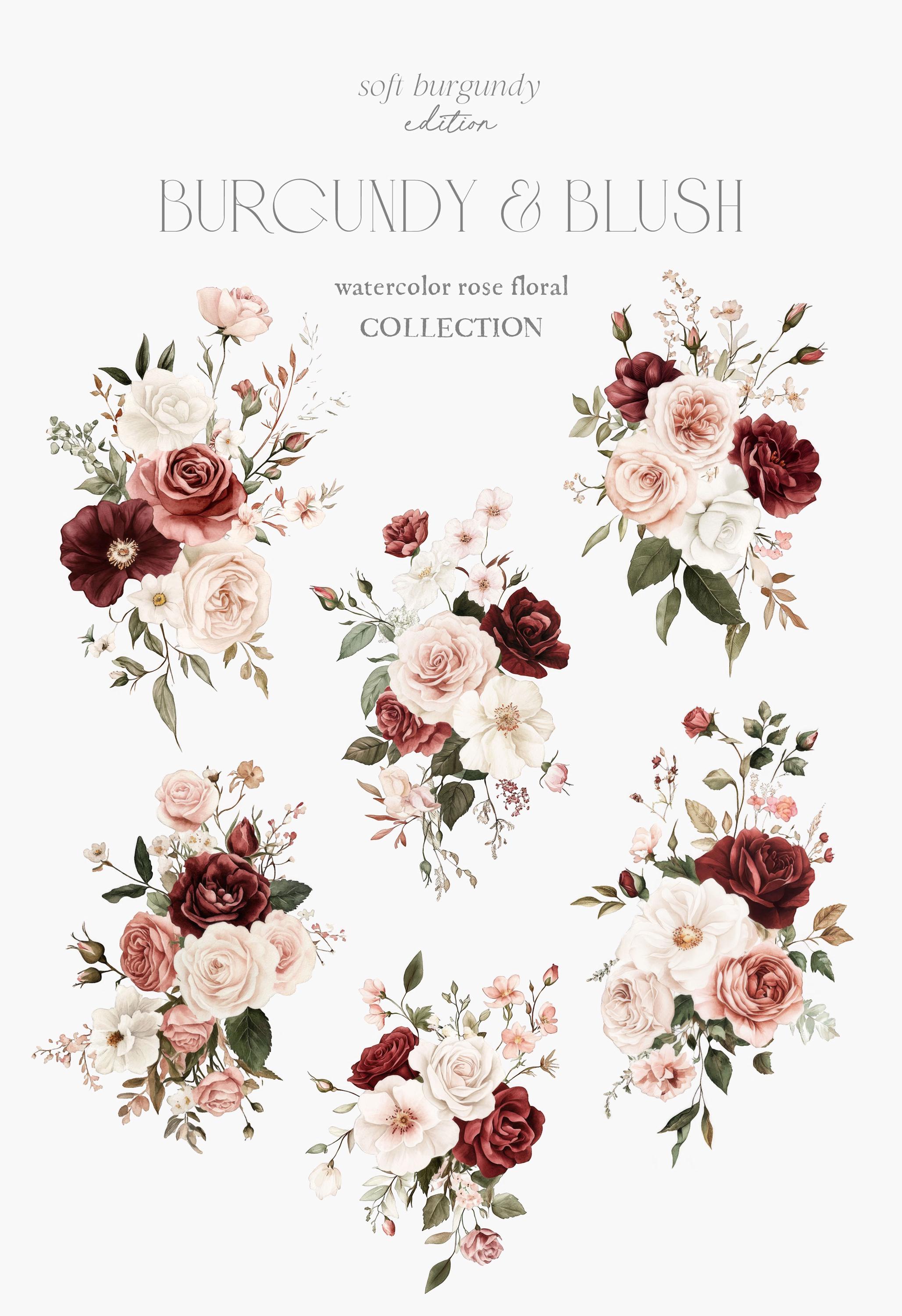 Watercolor Burgundy Floral Clipart - Burgundy Roses - Blush Roses ...