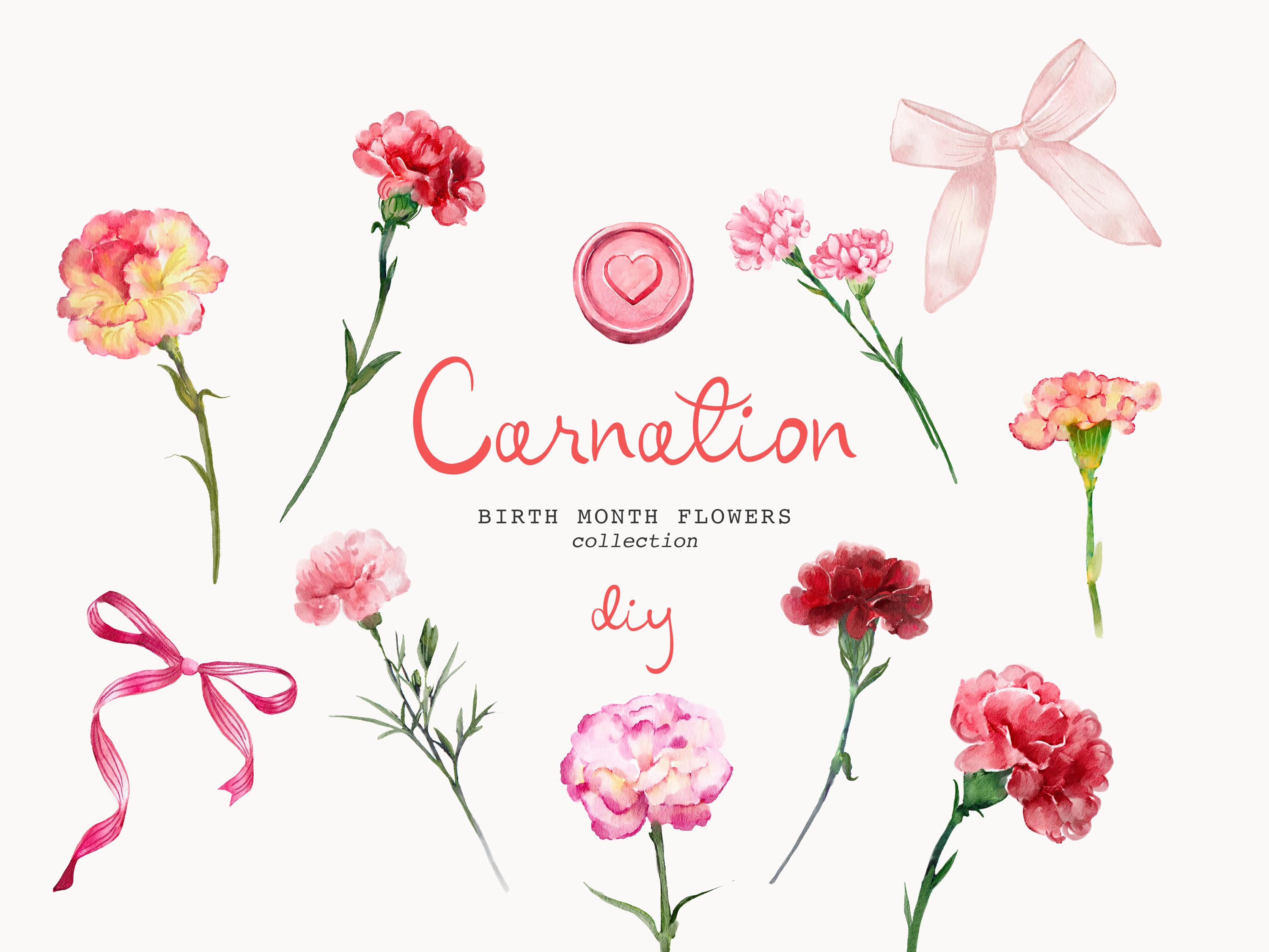 Watercolor Birth Month Flower Clipart - January Birth Flower ...