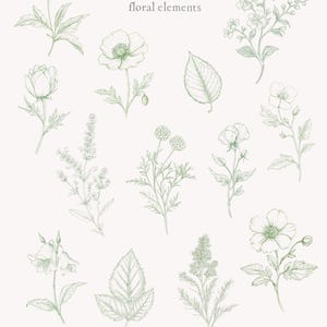 Green Line Art Botanical Collection - Greenery - Greenery Clipart ...