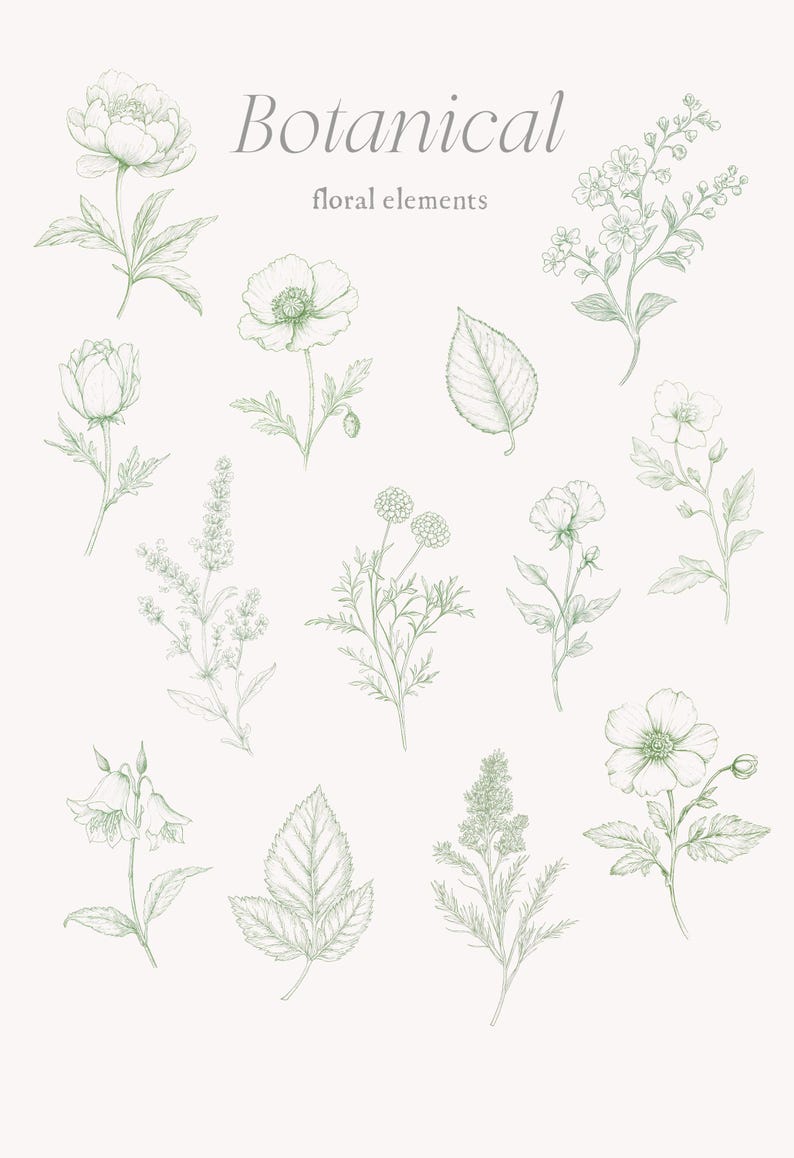 Green Line Art Botanical Collection - Greenery - Greenery Clipart ...