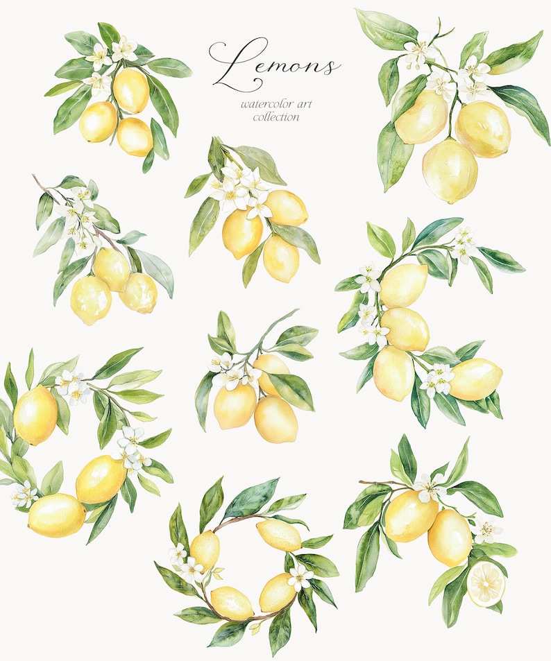 Watercolor Lemons Clipart - Lemons - Mediterranean Lemons Clipart ...