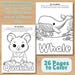 A-Z Animals Coloring Book With Educational Facts - Etsy