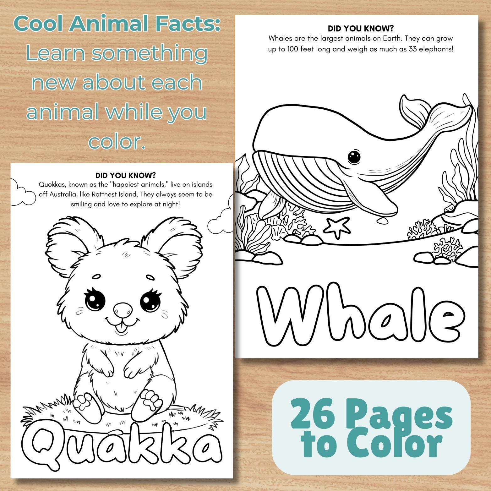 A-Z Animals Coloring Book With Educational Facts - Etsy