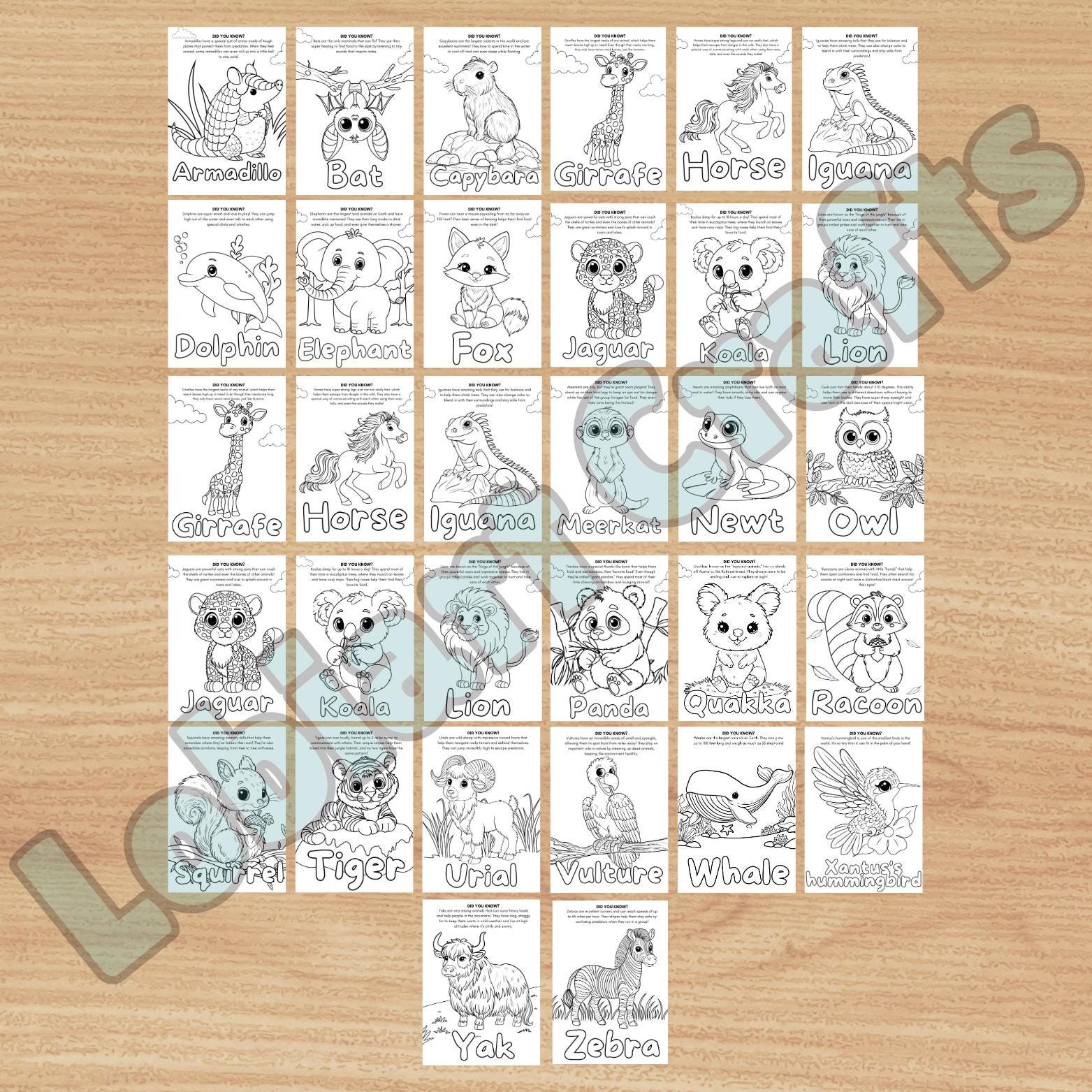 A-Z Animals Coloring Book With Educational Facts - Etsy